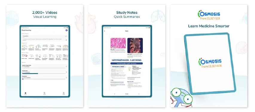 Study Success - A Guide for Med Student