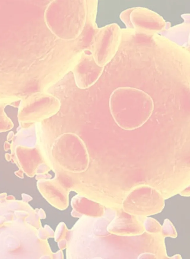 Coronavirus Information Center