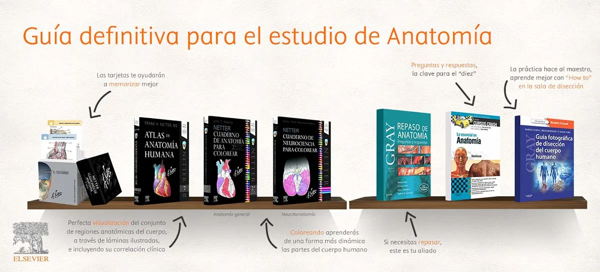Complete Anatomy 2023 : Actualización para una mejor representación de ...