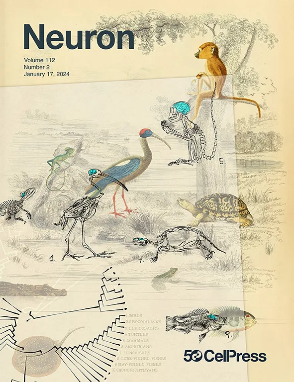 Cell Press 전자저널 컬렉션