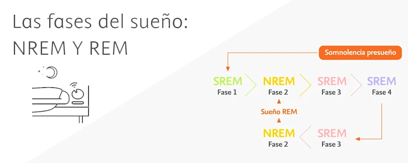Enfermería y trastornos del sueño: intervenciones individualizadas.