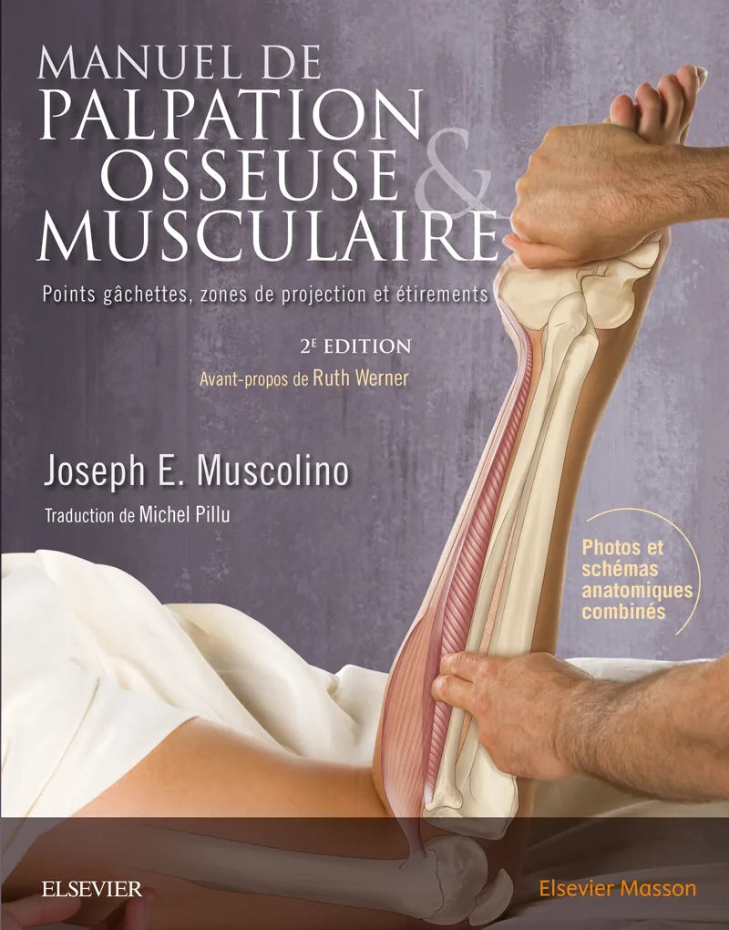 Manuel de palpation osseuse et musculaire