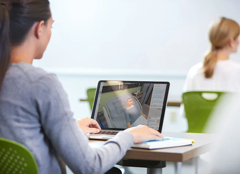 Screen-based patient simulation – an exemplar for developing and ...