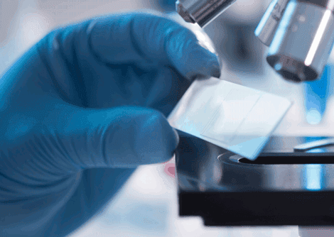 Step forward | Dr. Catherine Uzzell, Specialist Anatomical Pathologist ...