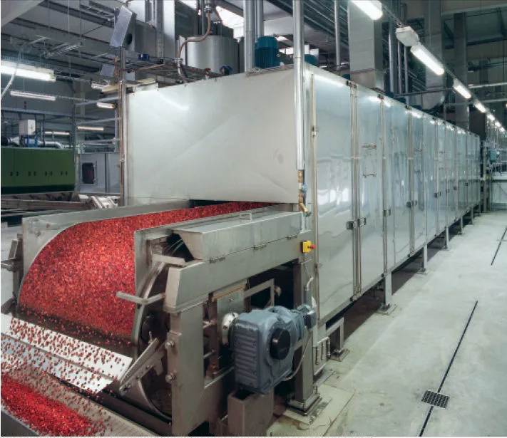 IPCO - Drying systems