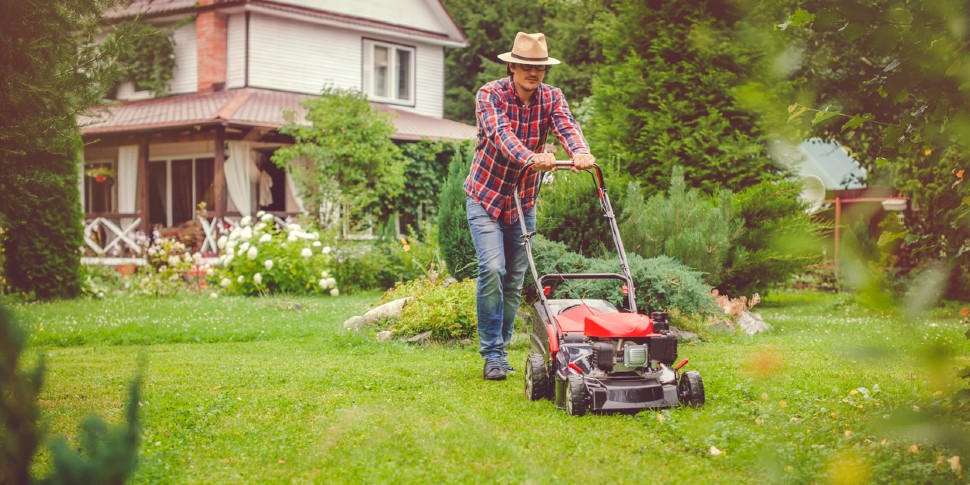 When to Start Mowing Your Lawn | Garden Gate