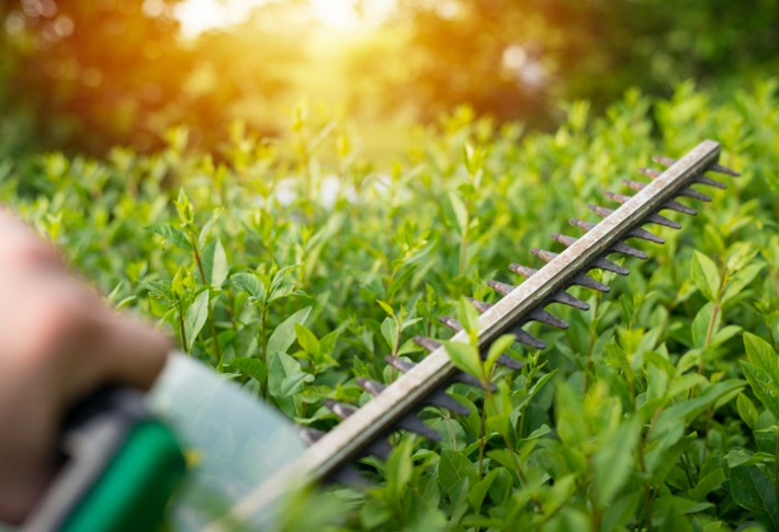 Best Hand-Held Shears to Perfect Your Projects | Garden Gate