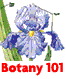 Botany 101 | Garden Gate