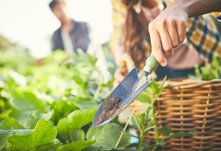 Best Hand Shovels to Upgrade Your Garden | Garden Gate