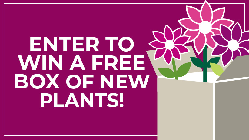 Proven Winners New Plant Giveaway | Garden Gate