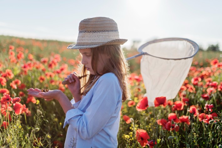 Capture Pests With the Best Insect Nets | Garden Gate