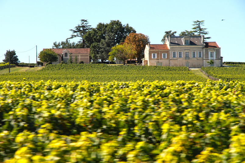 Bordeaux Wine and Food