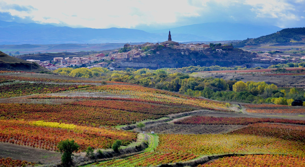 Things to do in Haro Spain | Haro Guide | Brittany Ferries