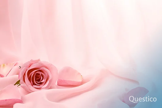 Farbe Rosa: Wirkung auf Seele, Körper und Geist | Questico