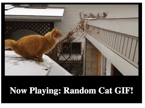 Content Projection in Angular - This Dot Labs