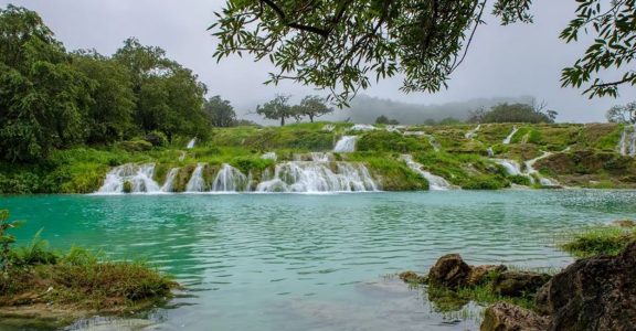 Salalah from Dubai | How to Travel in Oman Salalah khareef Season ...