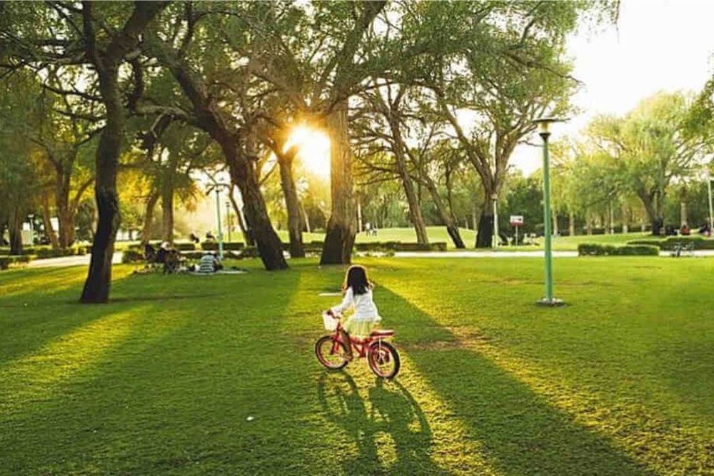 Ultimate Guide to Mushrif Park (Dubai) | DAMAC Properties