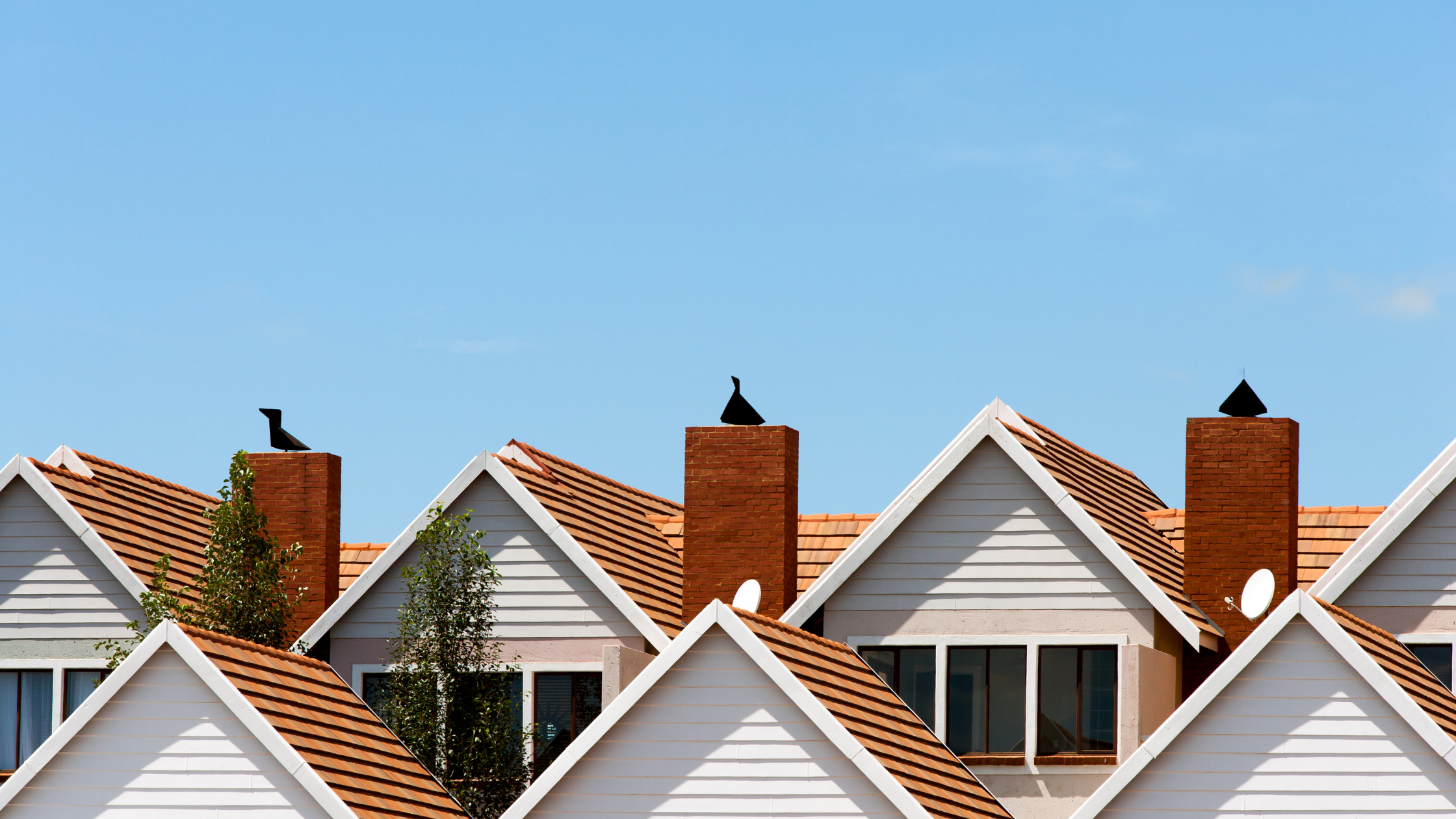 The Ultimate Guide to Temporary Housing