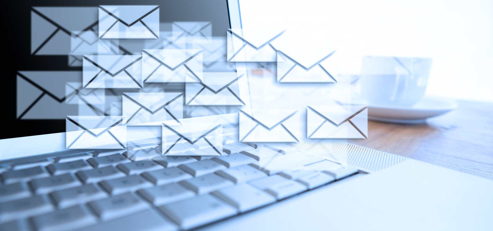 Formular de sesizări