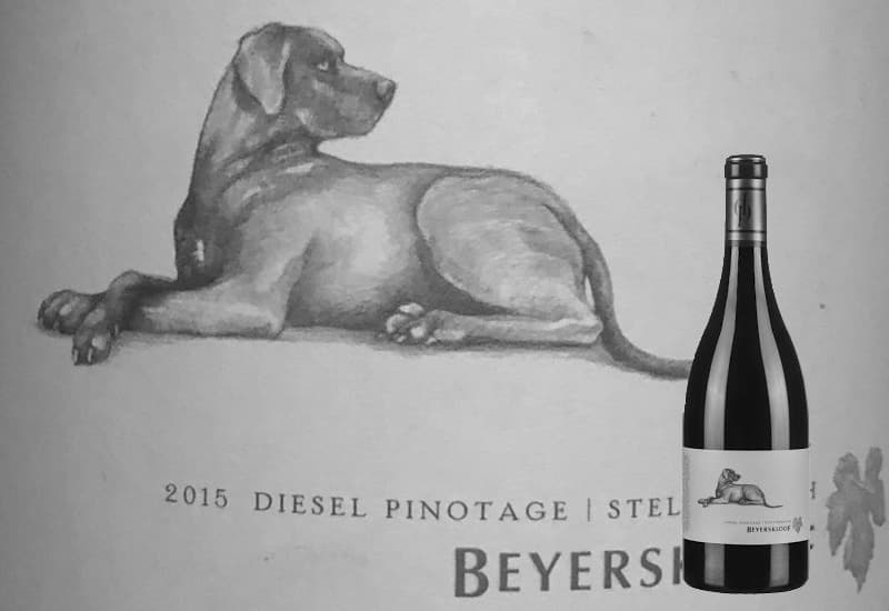 Pinotage (Wine Regions, Prices, Best Wines 2023)