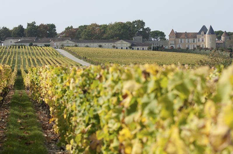 Left Bank Bordeaux: Best Wines (2024), Vineyards, Left vs Right Bank