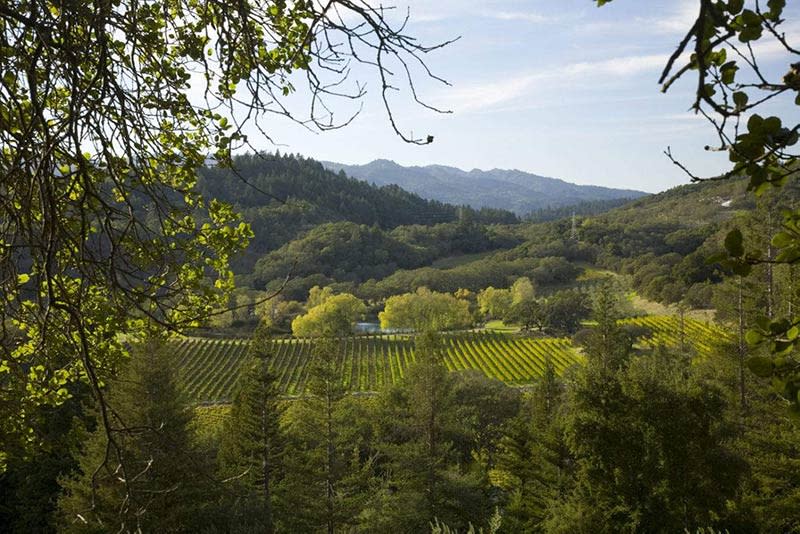 Joseph Phelps: Vineyards, Best Wines, Prices (2023)