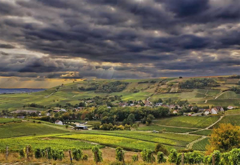 Sancerre: Wine Region, Styles, 10 Best Bottles To Buy (2024)