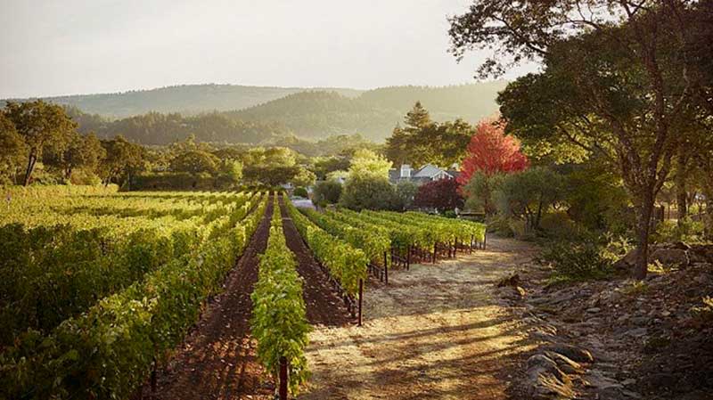 Colgin Cellars (Vineyards, Taste, Best Wines 2024)