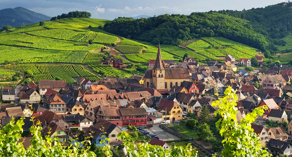 Guide to Alsace Wine: 10 Best Wines (2023), Terroir, Appellations, Styles