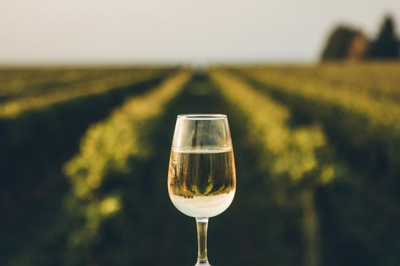 Semillon: Wine Styles, 10 Best Bottles (2023), Tasting Notes