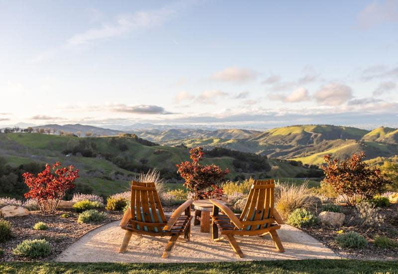 Daou Winery: Terroir, Wine Styles, 8 Best Wines, Prices (2024)