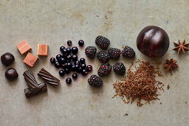 Cabernet Sauvignon Guide (Best Wines, Food Pairings, Taste)