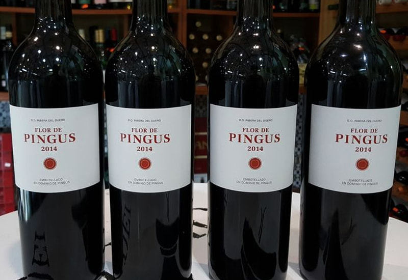 Dominio de Pingus: Wine Styles, Best Wines To Buy (2021)