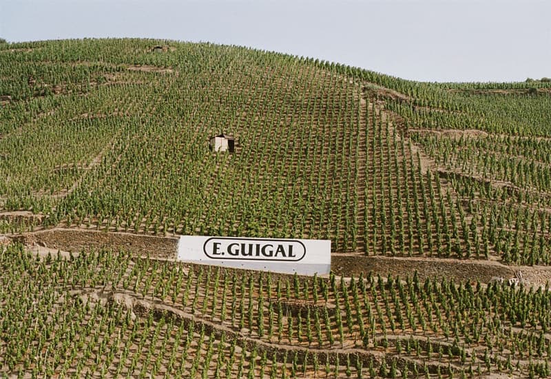Guigal (Winemaking, Prices, Best Wines 2023)