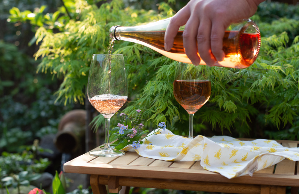 What is White Merlot? (8 Delicious Wines, How It’s Made, Food Pairings)