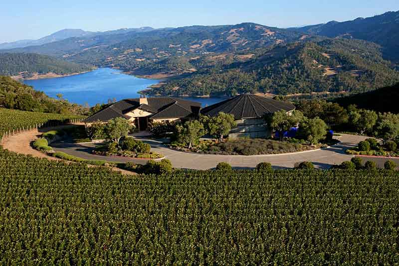 Colgin Cellars (Vineyards, Taste, Best Wines 2024)