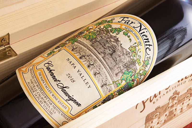 Cabernet Sauvignon Guide (Best Wines, Food Pairings, Taste)