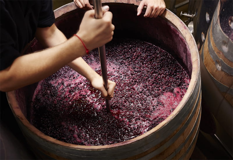 Guide to Wine Color (What Does It Tell You, How To Evaluate It)