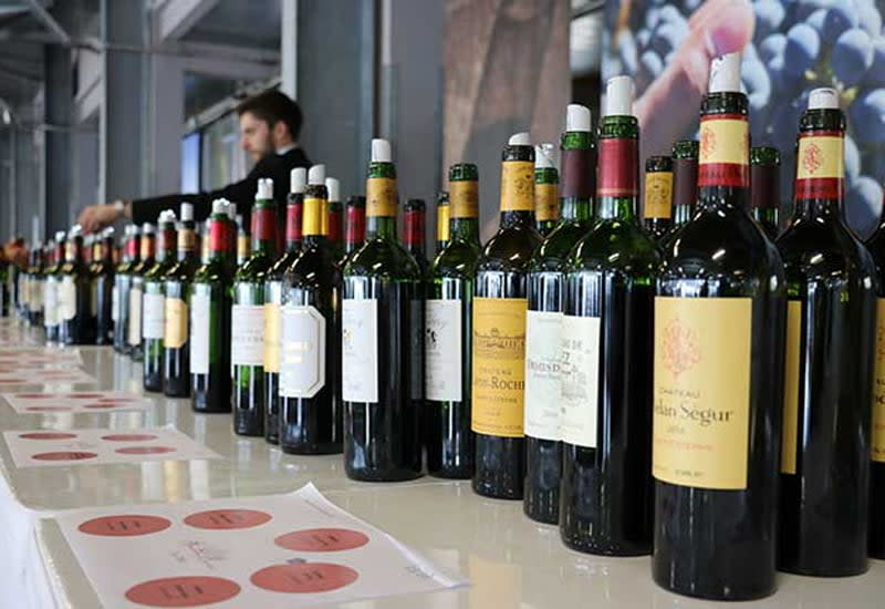 The Saint Estephe AOC (8 Best Wines, Tasting Notes, Prices 2023)