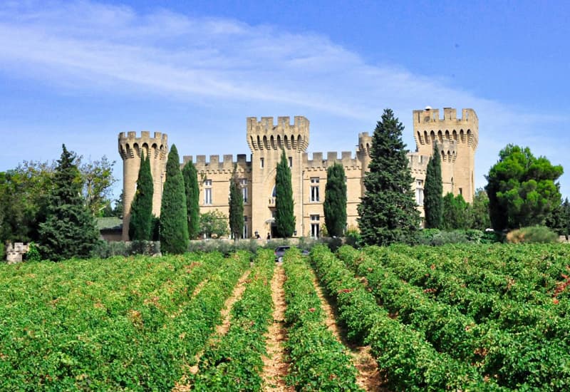 Rhone Wine: Vineyards, Terroir, 10 Amazing Bottles (2023)