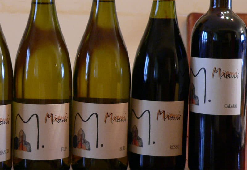 Merlot (Wine Regions, Styles, Best Wines 2023)