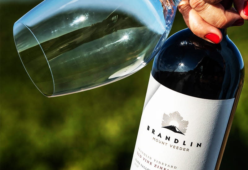 Zinfandel Wine - Winemaking, Styles, Best Wines (2023)