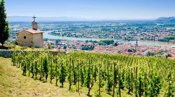 Condrieu (Wine Region, Best Wines, Prices 2023)