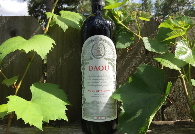 Daou Winery: Terroir, Wine Styles, 8 Best Wines, Prices (2024)