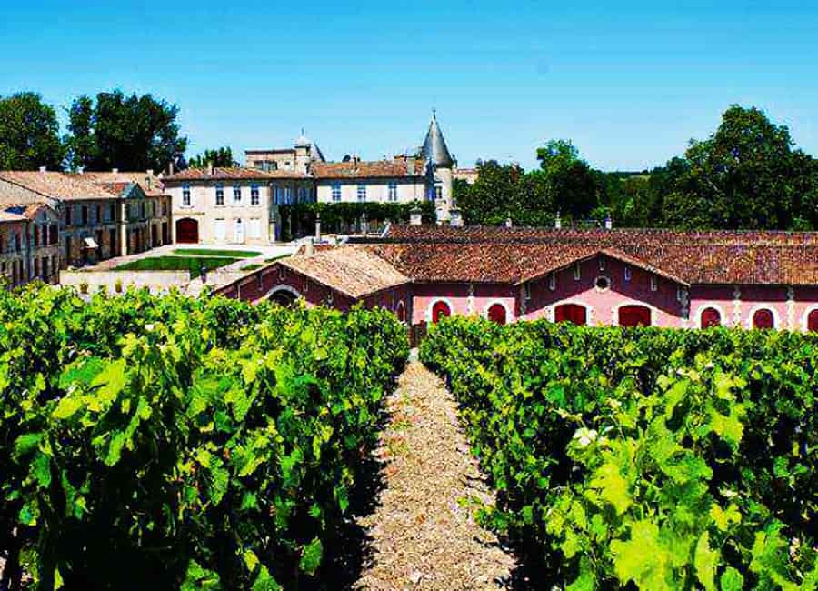 Chateau Lafite Rothschild (Winemaking, Best Wines, Prices 2023)
