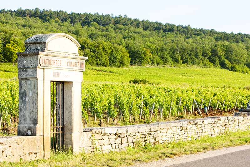 Gevrey Chambertin (Terroir, Winemaking, Best Wines 2023)