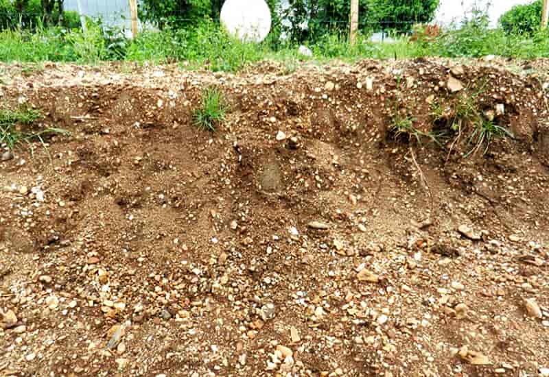 Pomerol AOC, Bordeaux: Top Wineries, 10 Alluring Wines To Buy