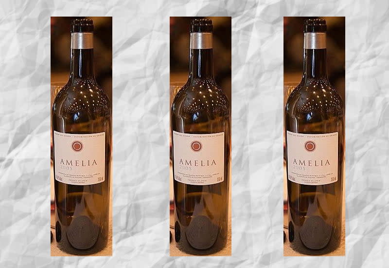 Dominio de Pingus: Wine Styles, Best Wines To Buy (2024)