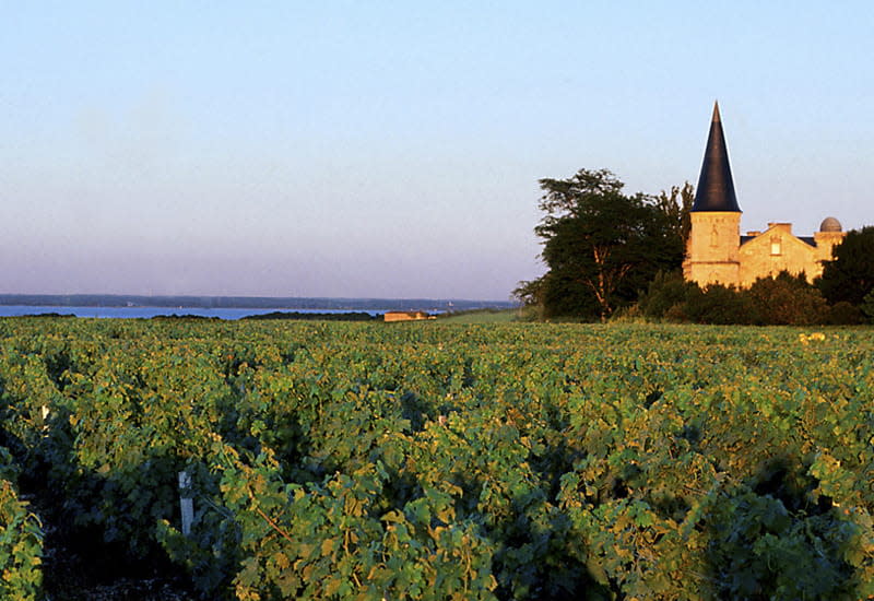 The Prestigious Haut Medoc Wine Region: 10 Best Wines, Prices (2024)