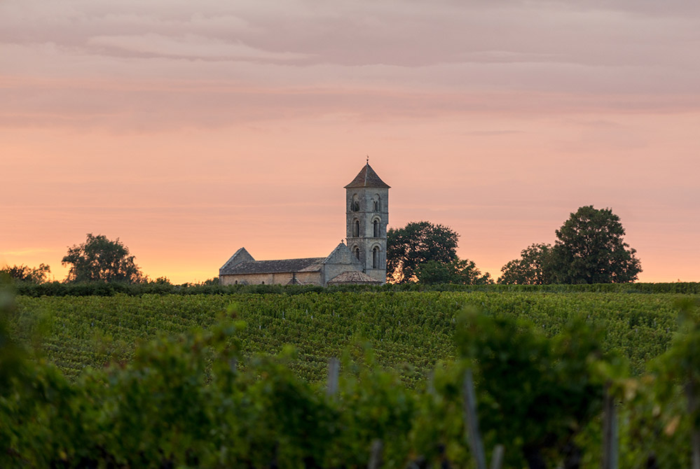 Left Bank Bordeaux: Best Wines (2024), Vineyards, Left vs Right Bank